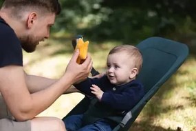 Kidnort Vinbär Lehátko černé