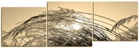 Obraz na plátně - Zimní ráno - panoráma 545FD (120x40 cm)