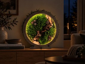 Li-Go "Mechové zátiší" lampa 30x31 cm provedení povrchu: bříza