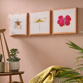 Set obrazů Beautiful Bugs 104580, Wall Art, Graham Brown