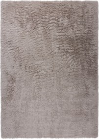 Flair Rugs, Kusový koberec Alpine Faux Fur Soft Grey, 160x230, šedá, ložnice