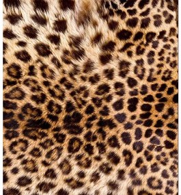 Vliesová fototapeta Leopardí kůže 225 x 250 cm + lepidlo zdarma / MS-3-0184 vliesové fototapety na zeď DIMEX