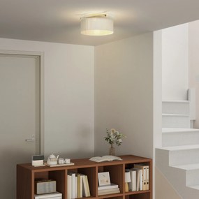 HOMCOM Stropní lampa s akrylovým stínidlem, kov, kompatibilní s halogenovými a LED žárovkami