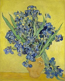 Vincent van Gogh - Obrazová reprodukce Irises, 1890, (30 x 40 cm)