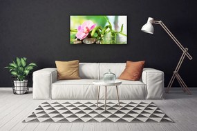 Obraz na plátně Bambus Stonek Rostlina Příroda 120x60 cm