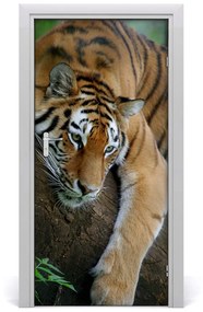 Samolepící fototapeta na dveře tygr na stromě 85x205 cm