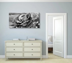 Obraz elegantní vintage růže v černobílém provedení Varianta: 120x60
