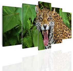 Vícedílný obraz - Jaguár