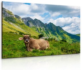 Malvis ® Obraz Alpská kráva Velikost: 90x60 cm