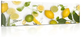 Obraz směs citrusových plodů - 150x50 cm