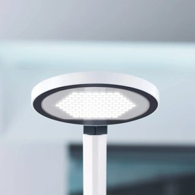 LED stolní lampa PARA.MI FTL 102 R bílá 940