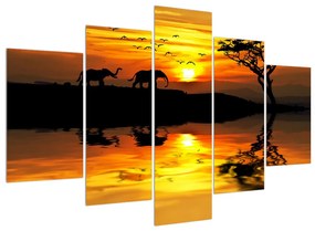 Obraz africké krajiny se slonem (150x105 cm)