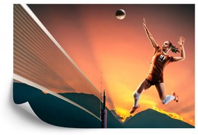 Fototapeta Profesionální Volejbalový Hráč Během Hry Samolepící tapety 416x290
