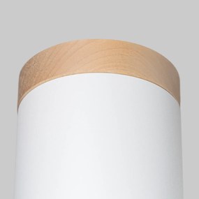 Sollux Lighting Stropní svítidlo RIF bílé