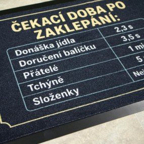 Mercury Flooring, Rohožka Čekací doba 40x60 cm - na ven i na doma, 40x60, černá