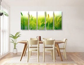 5-dílný obraz stébla trávy v zeleném provedení Varianta: 100x50
