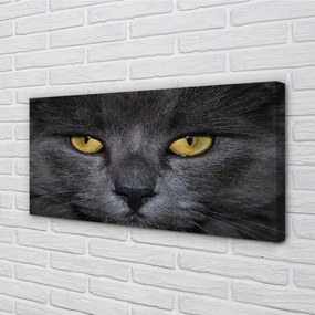 Obrazy na plátně Černá kočka 125x50 cm