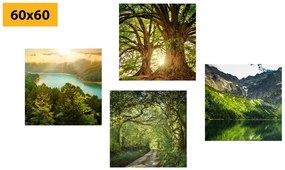 Set obrazů nádherná zelená příroda - 4x 60x60 cm