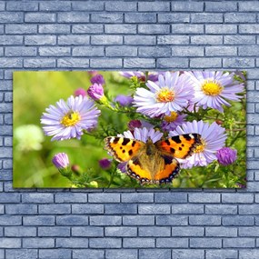 akrylový obraz Květiny Motýl Příroda 120x60 cm