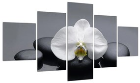 Obraz orchideje (125x70 cm)