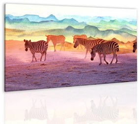 Malvis ® Obraz zebry v západu slunce Velikost: 90x60 cm