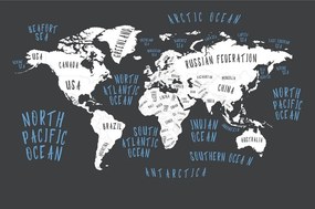 Tapeta mapa světa v moderním provedení - 225x150 cm