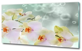 Wallmuralia Foto obraz fotografie na skle Bílá orchidej 100x50