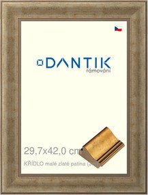 DANTIK rámeček 29,7x42 | KŘÍDLO malé zlaté patina (Plexi Čiré)