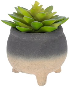 Umělá květina Kave Home Sedum lucidum 14 cm