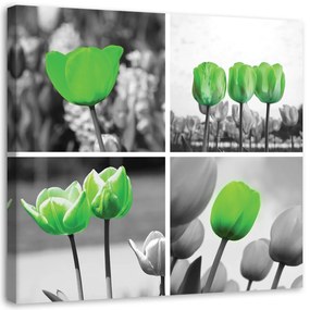 Obraz na plátně Sada zelených tulipánů - 40x40 cm