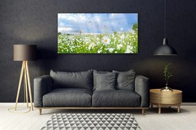 akrylový obraz Louka Sedmikrásky Příroda 120x60 cm