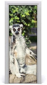 Samolepící fototapeta na dveře Lemur 75x205 cm