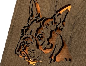 Li-Go "Buldoček" lampa 19x19 cm provedení povrchu: dub