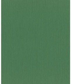 Vliesová tapeta zelená 537673 / Tapety na zeď Curiosity (0,53 x 10,05 m) Rasch