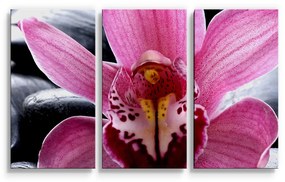 Sablio Obraz - 3-dílný Růžová orchidea - 120x80 cm