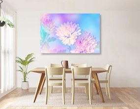 Obraz květ chryzantémy Varianta: 120x80
