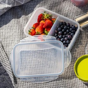 TESCOMA Dóza s 2 miskami FRESHBOX 1,2 l, obdélníková