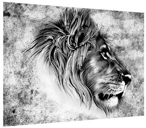 Černobílý obraz lva (70x50 cm)