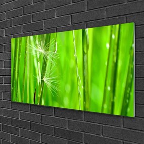 Obraz na skle Tráva Rostlina Příroda 120x60 cm