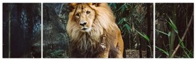 Obraz lva v přírodě (170x50 cm)
