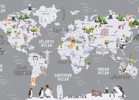 Malvis ® Tapeta Mapa se zvířaty dětská Vel. (šířka x výška): 216 x 140 cm