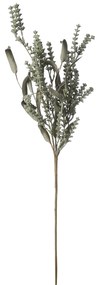 Šalvěj snítka FLORISIA, 63 cm