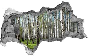 Wallmuralia Nálepka fototapeta 3D výhled Břízový les 95x73 cm