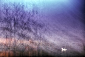 Jiří Hřebíček | Drifting Into A Dream Rám: Černý, Velikost: 30 x 40 cm