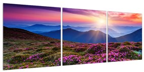 Obraz horské rozkvetlé krajiny (120x40 cm)