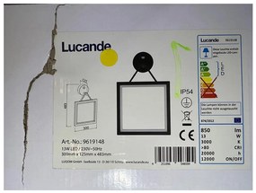 Lucande Lucande - LED Venkovní nástěnné svítidlo se senzorem MIRCO LED/13W/230V IP54 LW0358