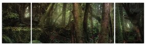 Obraz - Tajemný les (170x50 cm)