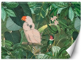 Gario Fototapeta Papoušci v tropech - Andrea Haase Materiál: Vliesová, Rozměry: 200 x 140 cm