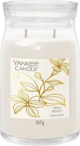 Yankee Candle Slow Bloom Signature Velký