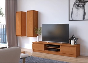 TV stolek Ronon 160 cm olše